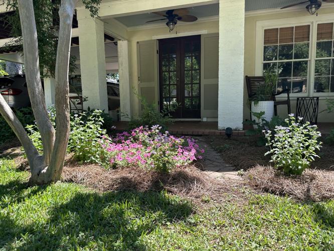 Garden featuring native plants on Le Tour des Jardins | Johnette’s ...