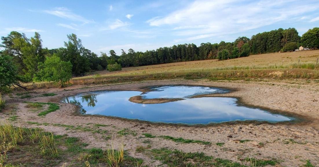 Drought conditions impacting ArkLaTex agriculture | News | ktbs.com