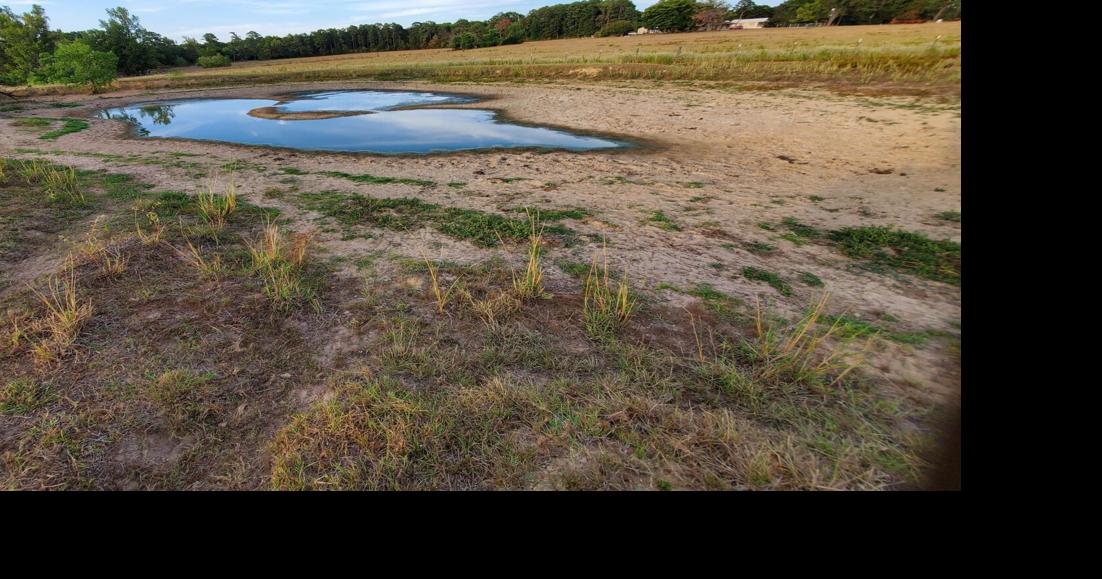 Drought conditions impacting ArkLaTex agriculture | News | ktbs.com