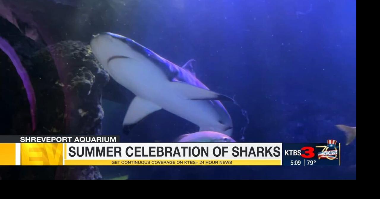 Shreveport Aquarium's mid-month Shark Week offers hands-on learning and ...