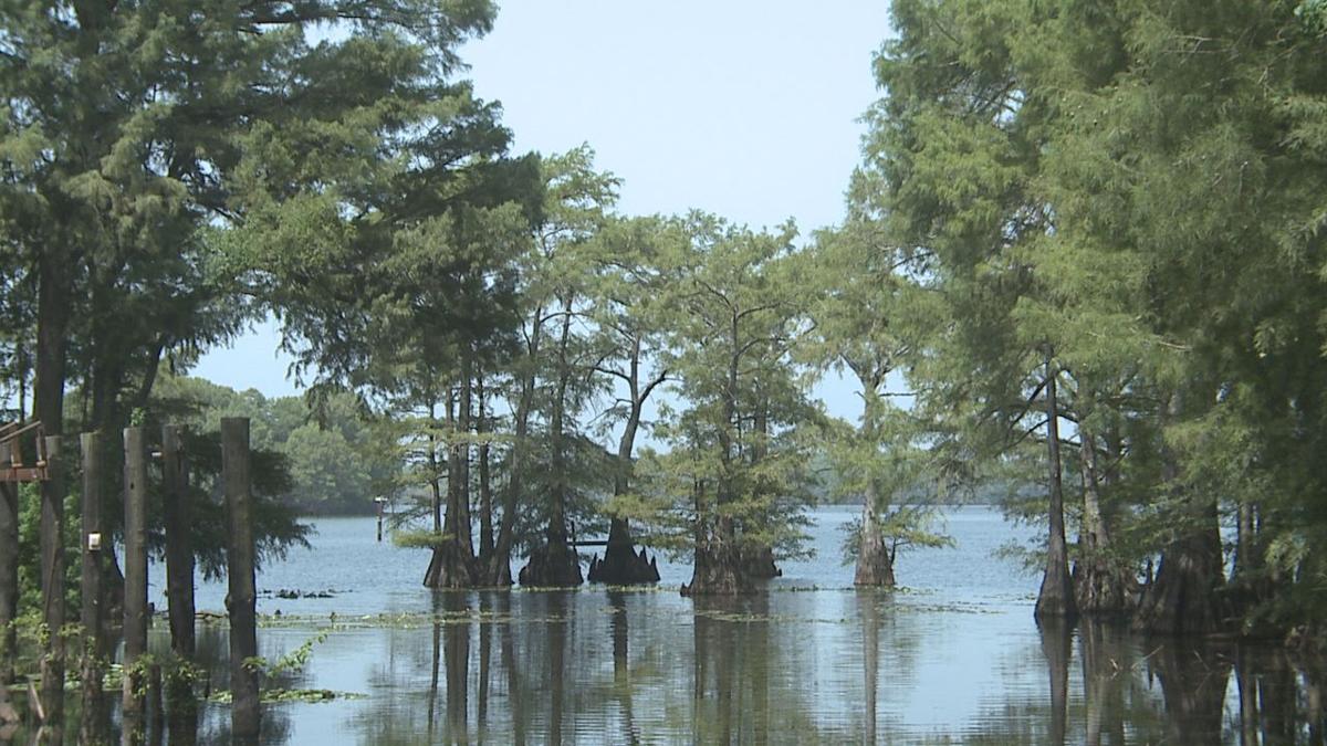 UPDATED: Caddo Lake Heritage Area bills pulled from Congress | ArkLaTex ...