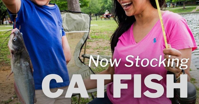 Texas Parks and Wildlife begins stocking catfish | News | ktbs.com