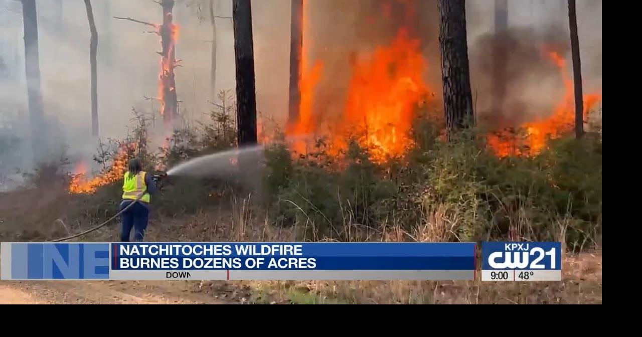 Wildfire in Natchitoches Parish burns up to 40 acres, no buildings ...