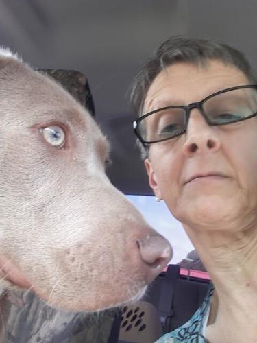 Bossier Animal Control waives adoption fees this weekend | News | ktbs.com