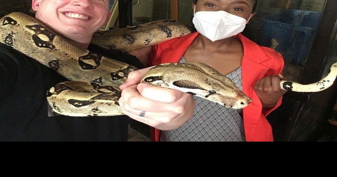 Are you seeing snakes slithering a bit more? Steven of Steve's ...