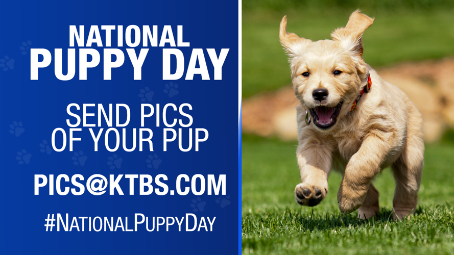 Thursday is National Puppy Day | Community | ktbs.com