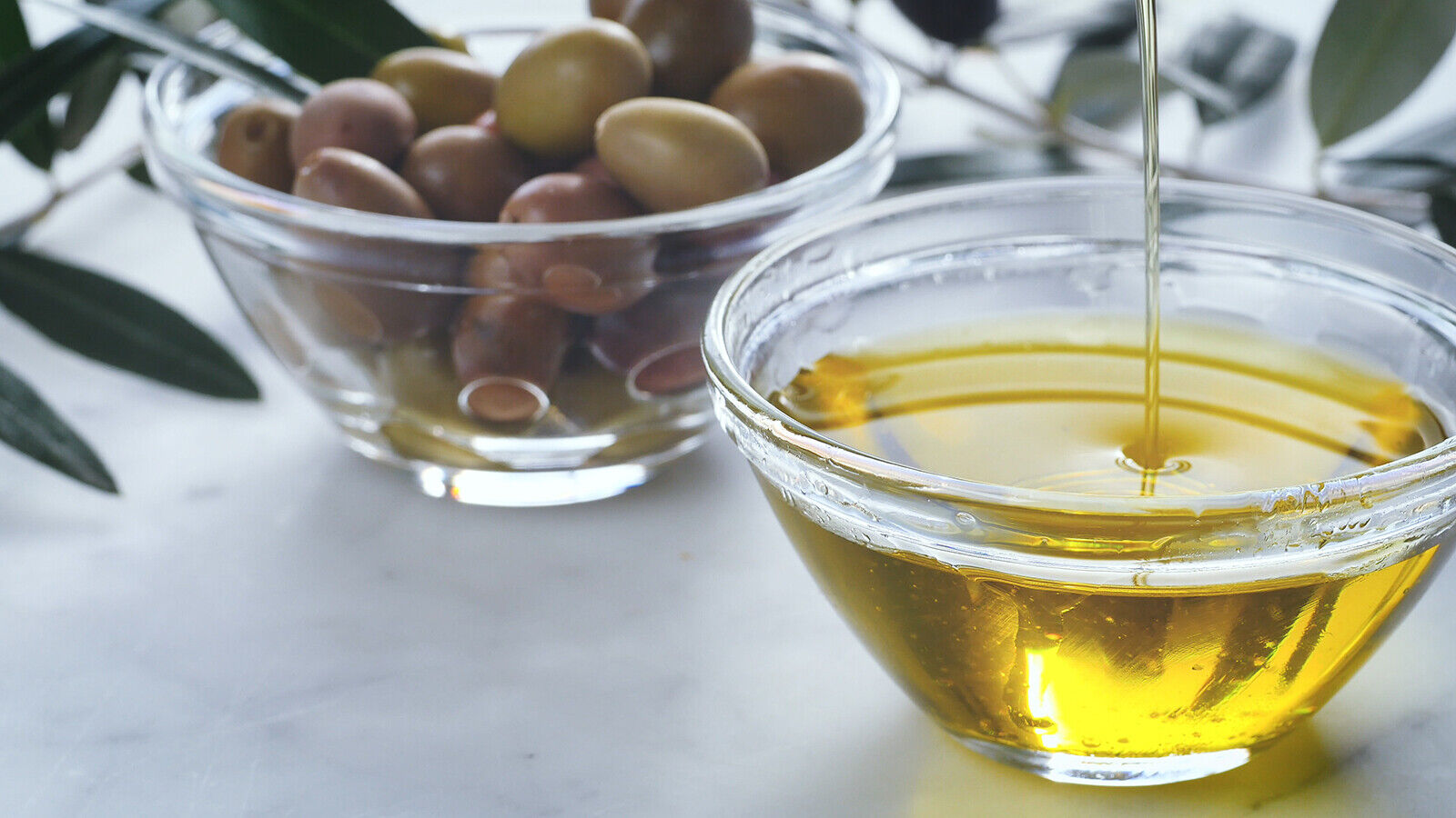 Louisiana biotech startup works to scale olive oil’s most potent ...