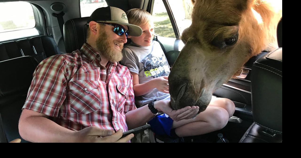 Where in the ArkLaTex is Rick Rowe?: Lonesome Dove Drive-Thru Safari ...