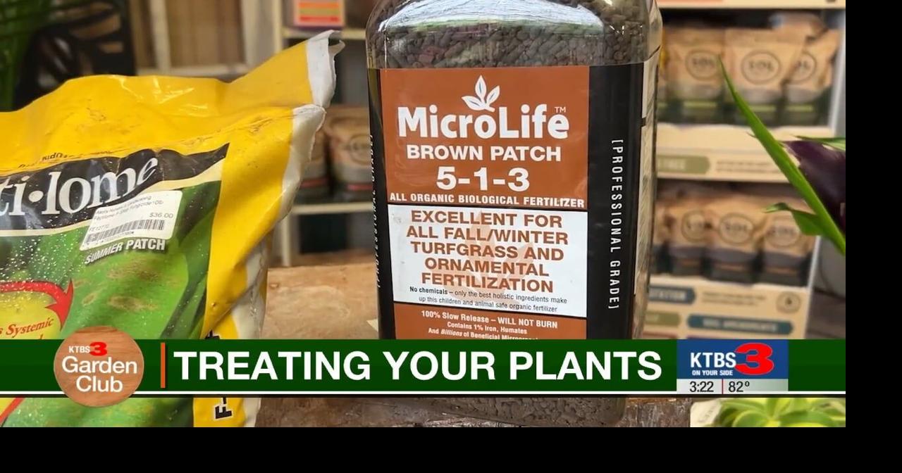 Cool, wet spring weather bringing rise in plant fungus problems ...