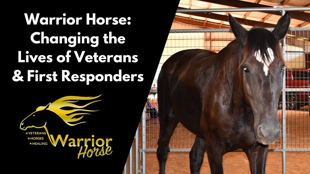 Volunteers build hope at Warrior Horse during Sweeps Week | Community ...