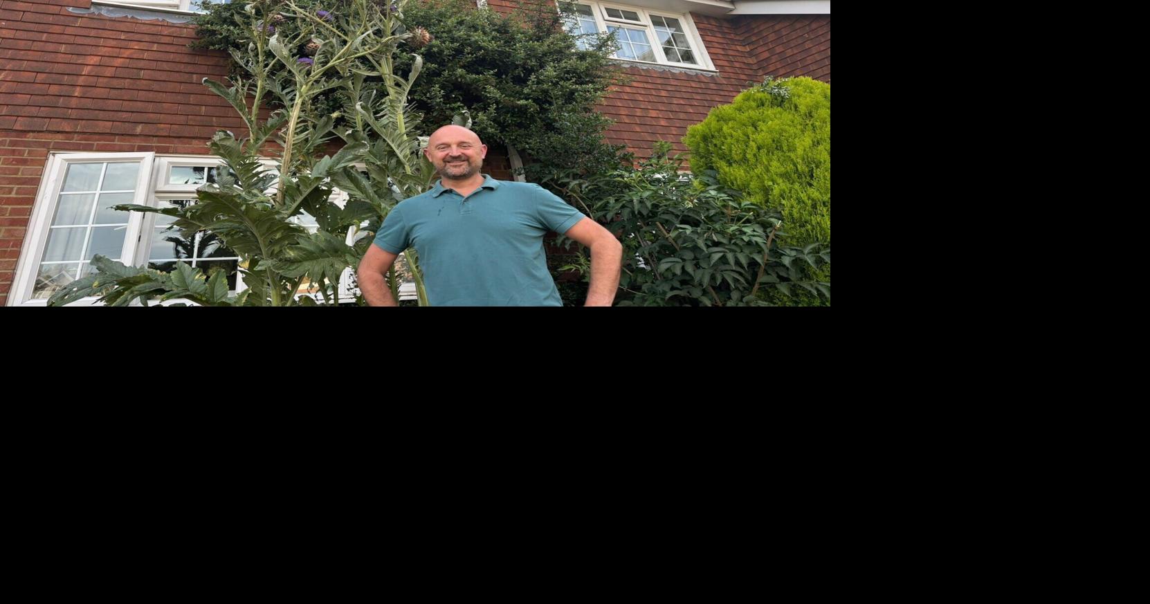 Towering artichoke plant awarded new Guinness World Record | National ...