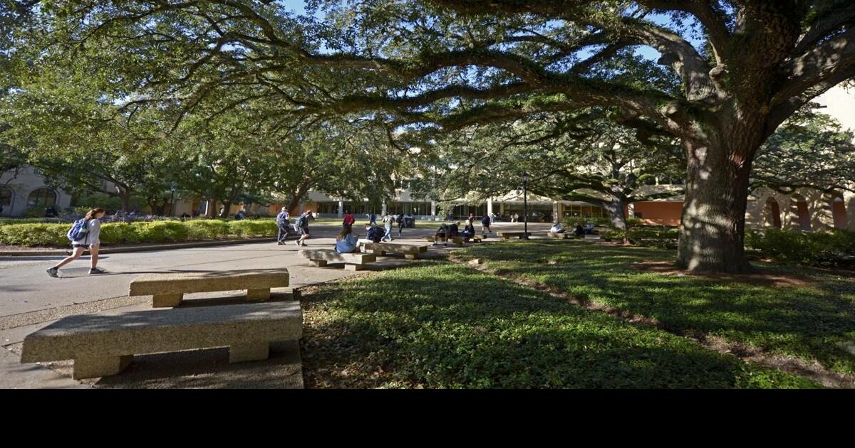 LSU French Studies chair removed after allegations that she ignored ...