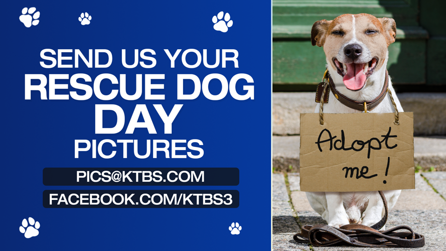 Let's see your rescue dog pics as we celebrate National Rescue Dog Day ...