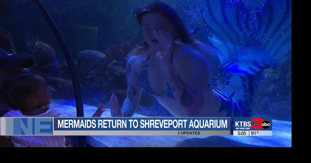 Mermaids return to Shreveport Aquarium for limited time | Community ...