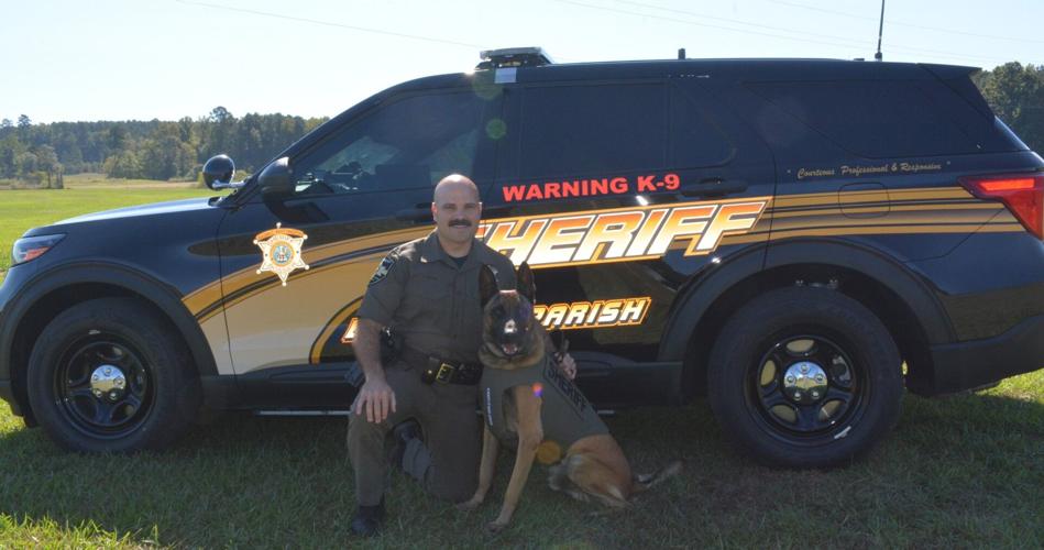 Bossier Sheriff’s Office K-9s receive body armor | News | ktbs.com