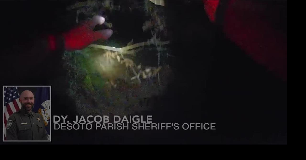 DPSO deputies find missing Pelican man in heavily wooded area | News ...