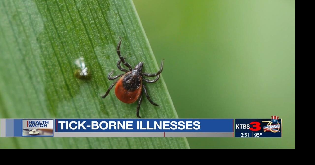 Tick-borne illnesses are rising with the temperatures | Health | ktbs.com
