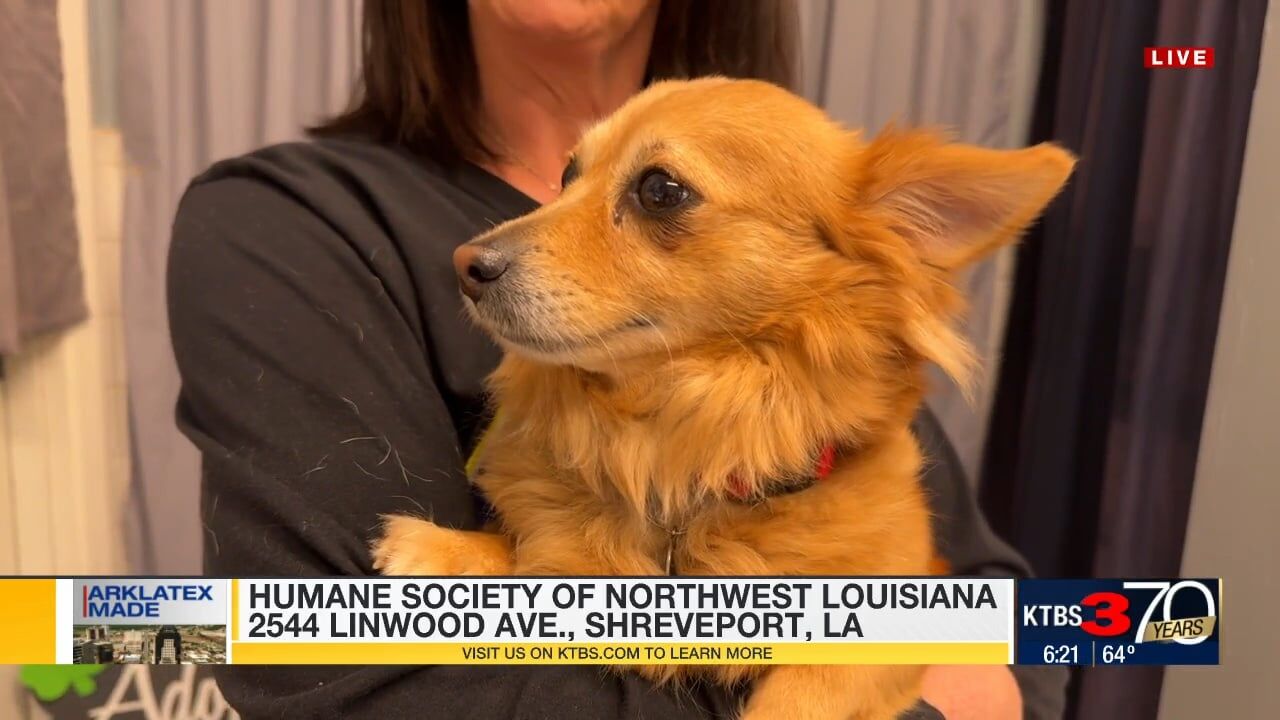 Rick Rowe | ktbs.com