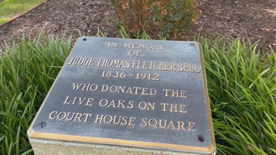 An oak tree and lynchings. What's the truth? | 3 Investigates | ktbs.com