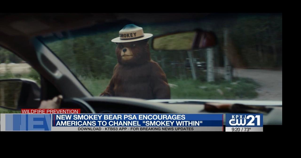 Channel your inner Smokey Bear and prevent wildfires with the latest ...