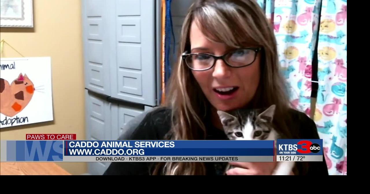 Paws to Care: Caddo Animal Services | Community | ktbs.com