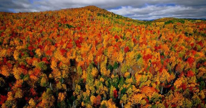 Fall color | ArkLaTex In-Depth | ktbs.com