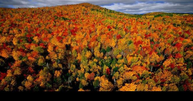 Fall color | ArkLaTex In-Depth | ktbs.com