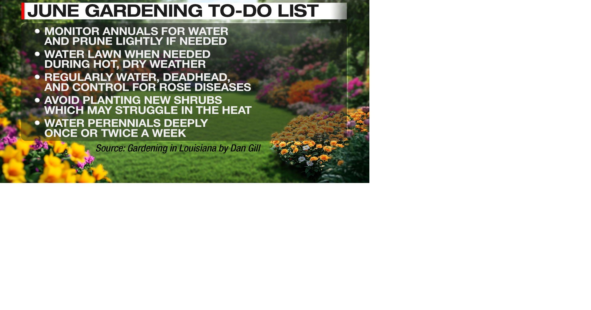 June Gardening To-Do List | Johnette’s Garden Club | ktbs.com