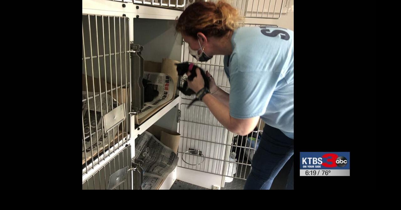 Rick Rowe's Stories from the Heart: Paws 4 Life | First News | ktbs.com