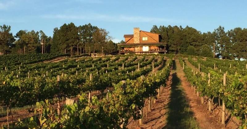 Where in the ArkLaTex is Rick Rowe? Enoch’s Stomp Vineyard & Winery ...