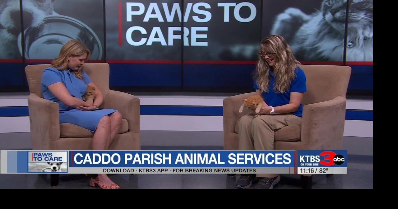 Paws to Care: Caddo Animal Services | Community | ktbs.com