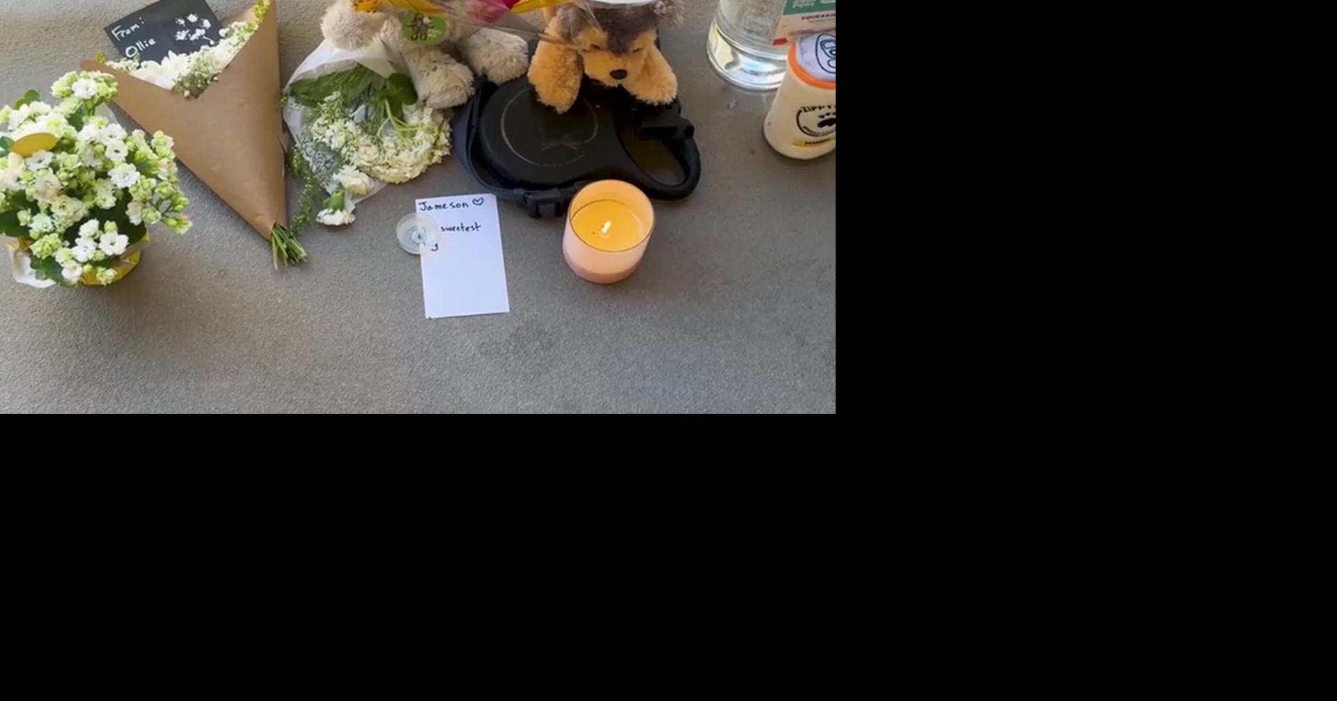 RAW: CA: FAMILY DOG KILLED BY LAPD DURING KNICKS CELEBRATION | National ...