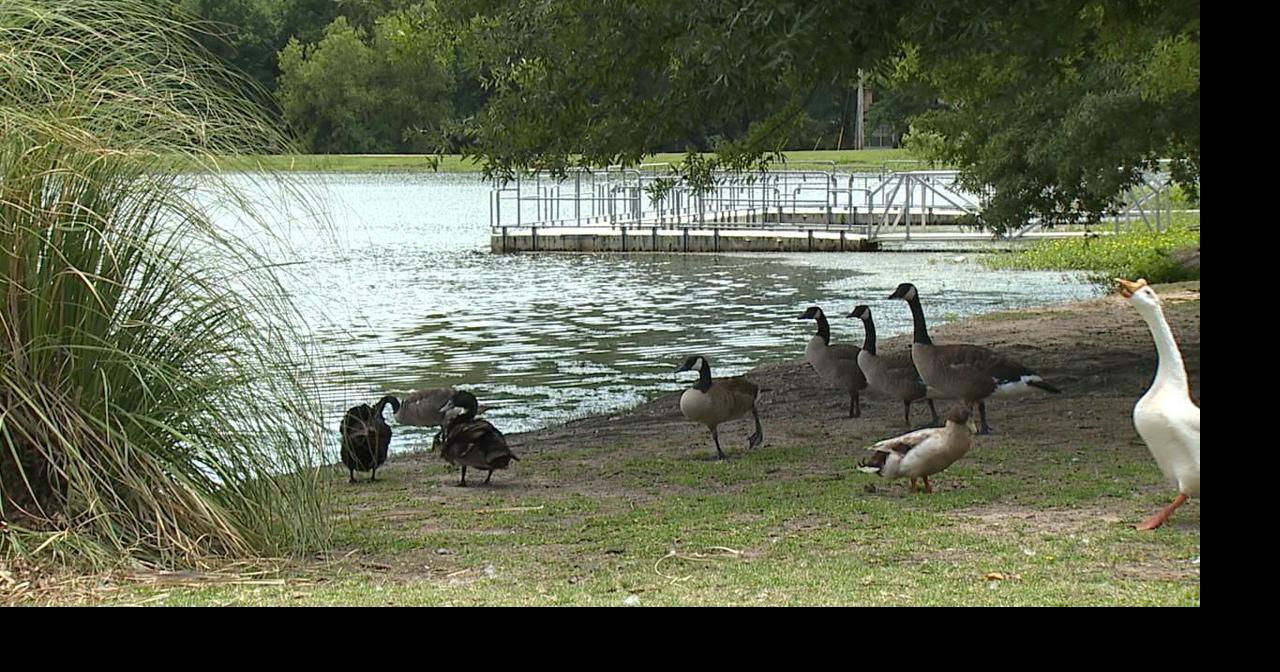 Spring Lake Park pond dredging to begin soon | News | ktbs.com