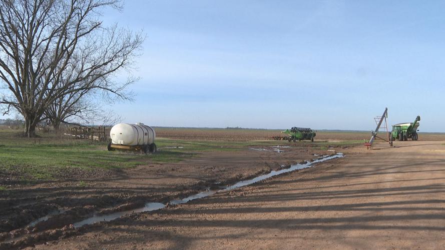 Local farmers hope Roundup stays despite lawsuits claiming it causes ...