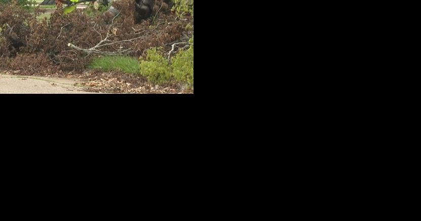 Debris contractors to begin cleanup Monday in Shreveport | News | ktbs.com