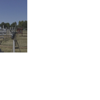 Dixie Maze Farms has been creating fall memories for families for 24 ...