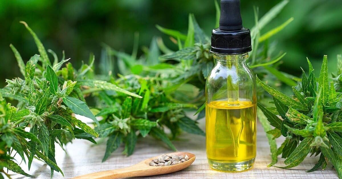 CBD No Good For Pain Relief, Experts Conclude | Health | ktbs.com