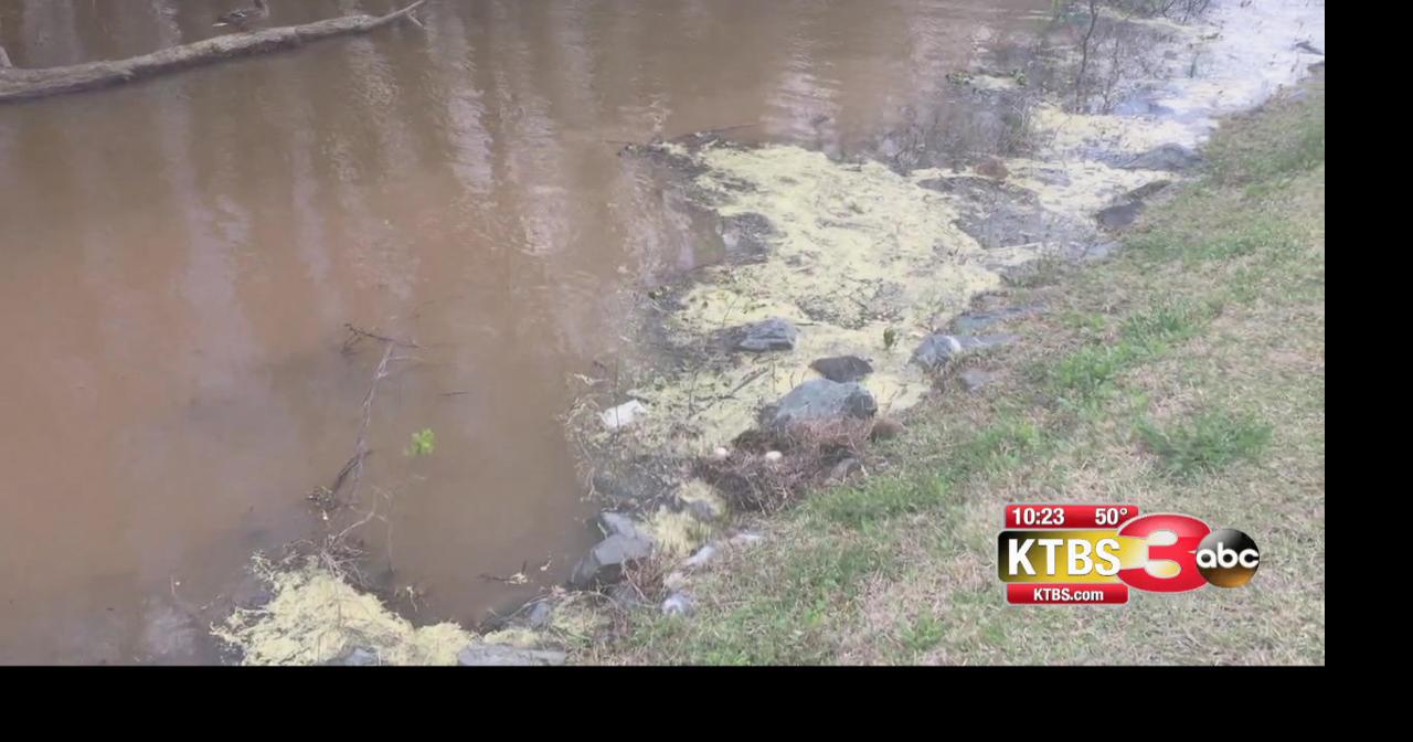 Surviving the floods of 2018: the incredible indestructible duck eggs ...