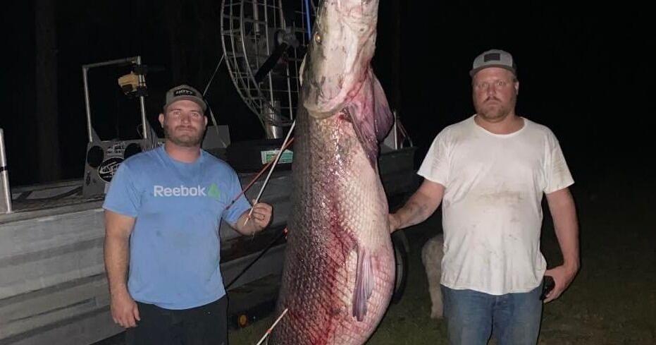 Texas men land record alligator gar in Toledo Bend | News | ktbs.com