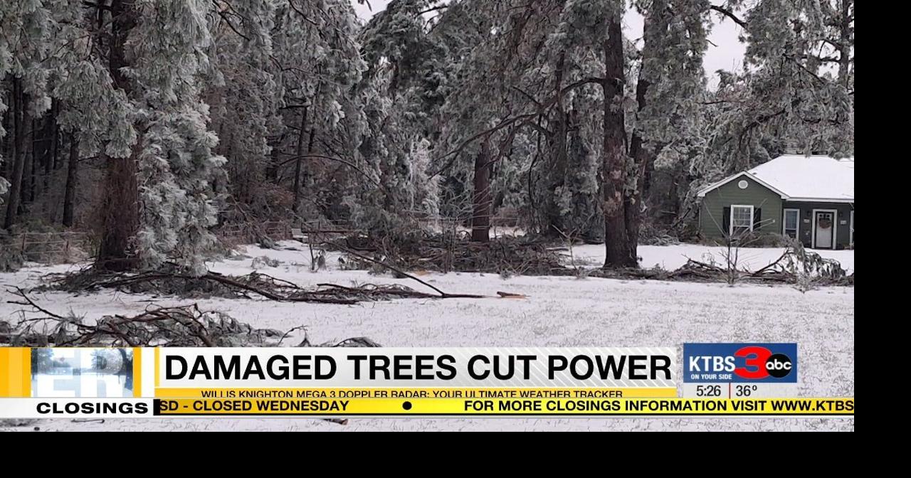 Damaged Trees Cut Power | | ktbs.com