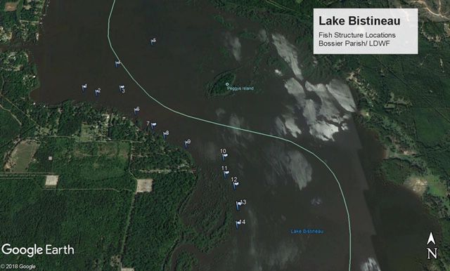 Brush tops dropped into Lake Bistineau to attract fish | News | ktbs.com