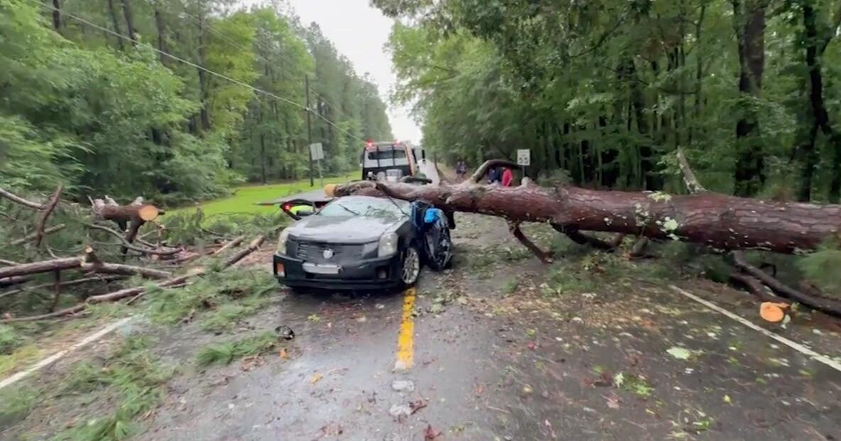 Massive tree traps woman inside car | News | ktbs.com