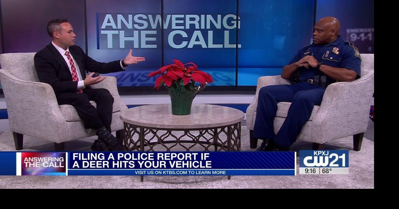 Answering the Call: Filing insurance report after deer hits vehicle ...