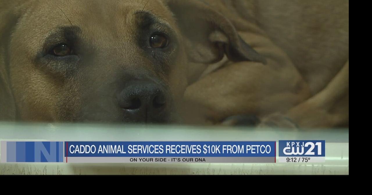 Caddo animal services receives $10k grant to help family pets during ...