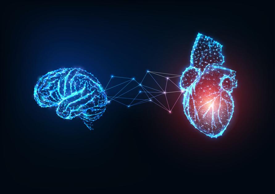 The head is connected to the heart – and can influence health | Heart ...