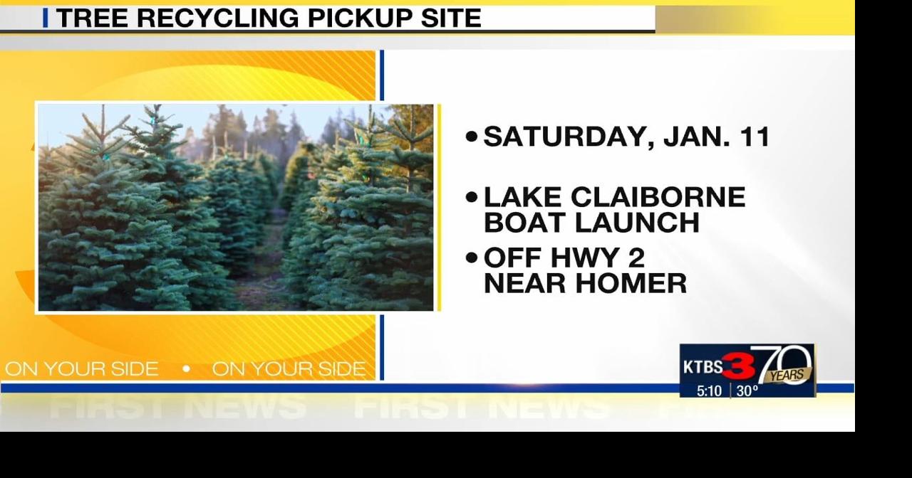 Christmas tree recycling program benefits fish habitat | Seasonal ...