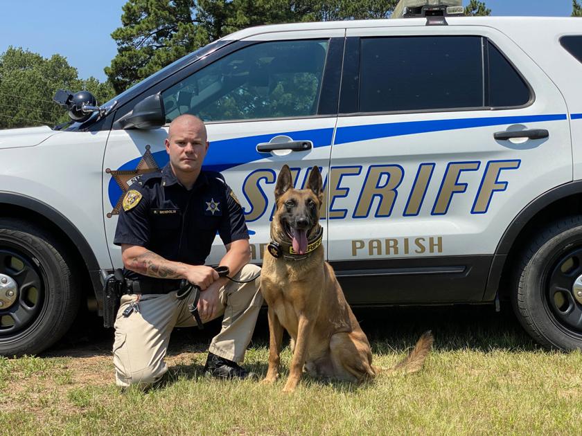 Caddo Parish Sheriff's Office hosts recruitment event | Crime | ktbs.com