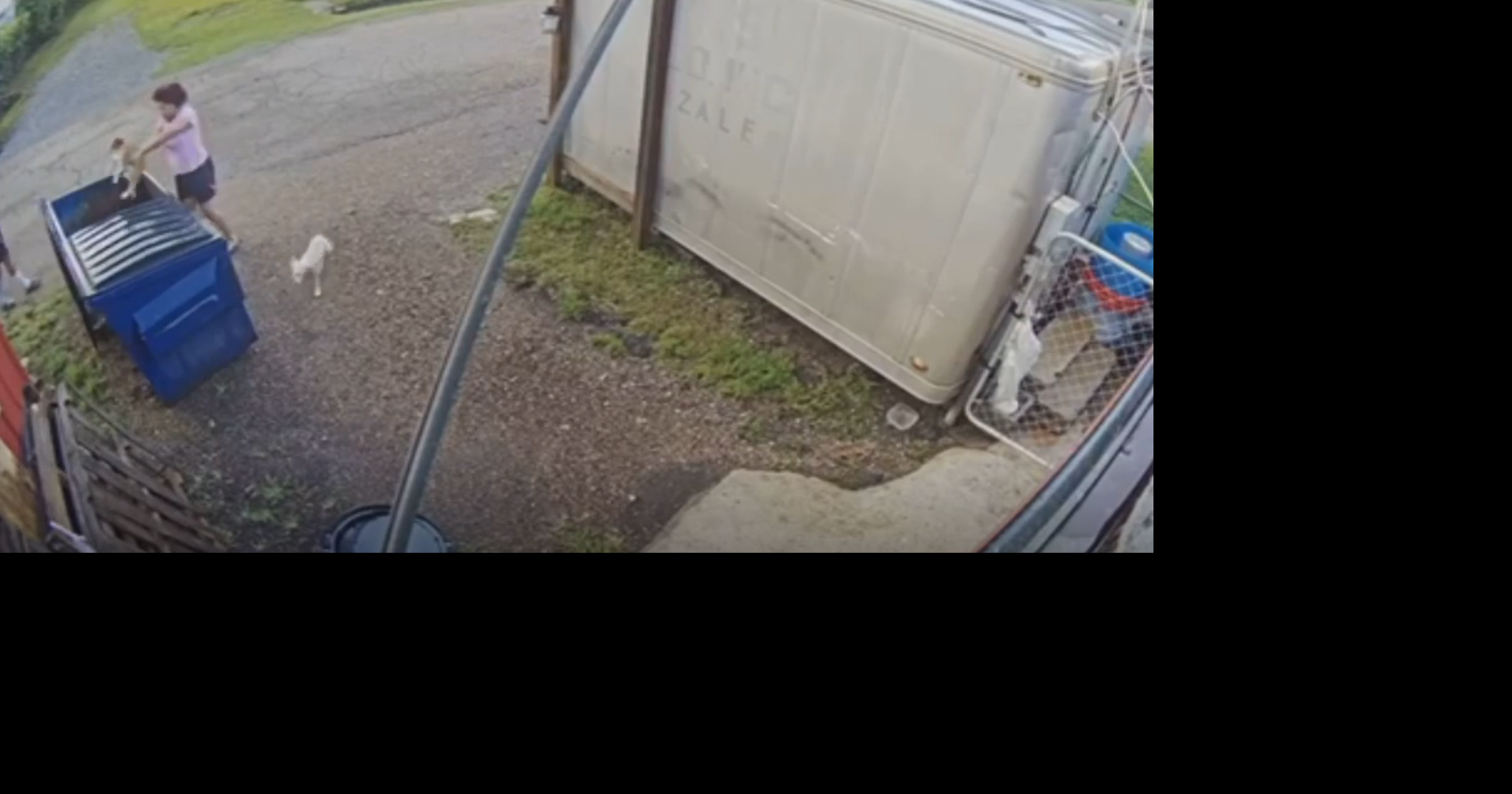 2 arrested for throwing puppies in dumpster; dogs rescued by neighbor ...