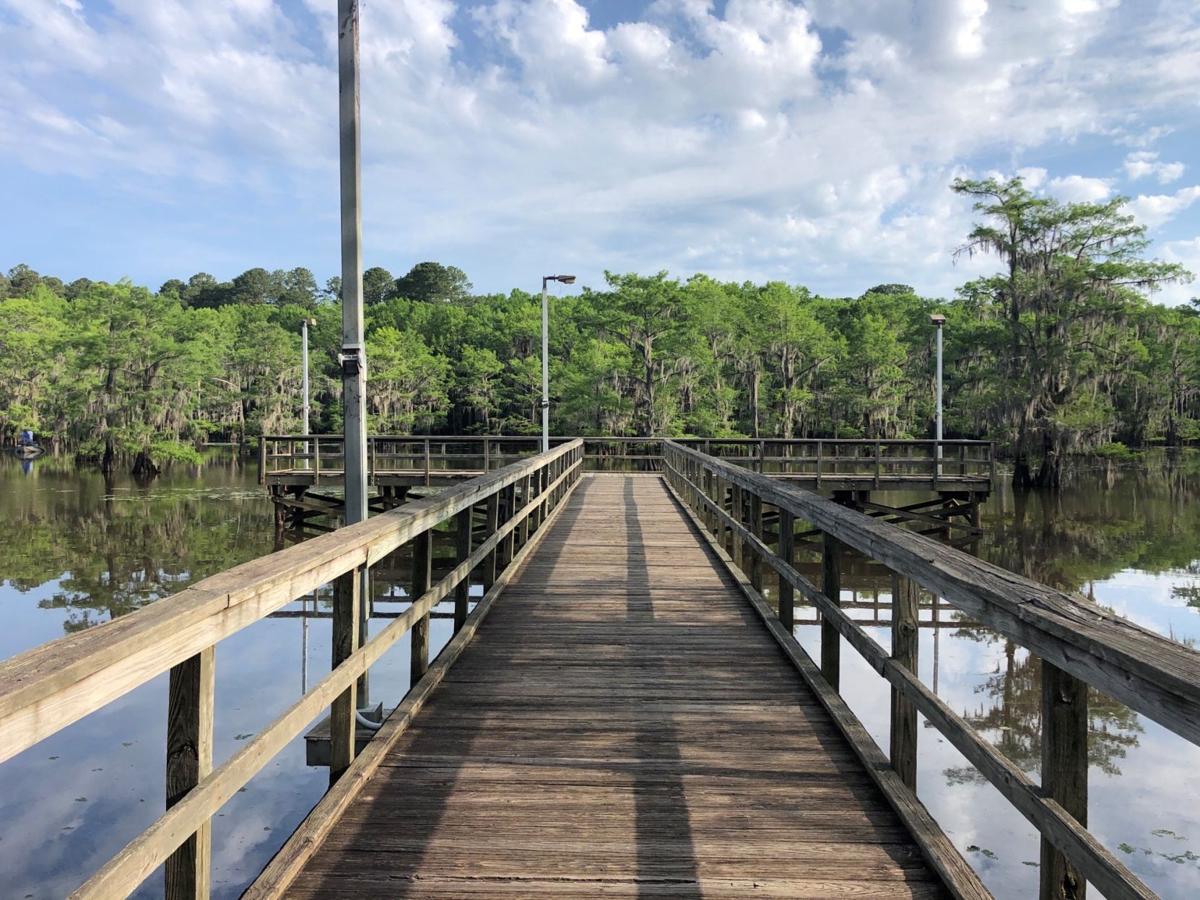 Pre-purchased day passes required when visiting Caddo Lake State Park ...