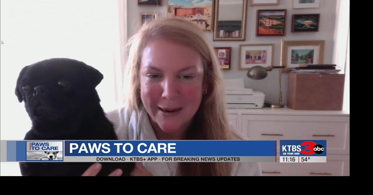 Paws to care: Happy new year Robinson's rescue | Community | ktbs.com